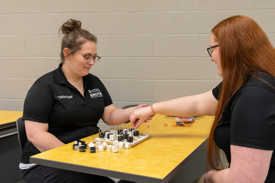 EHOVE Adult Education Occupational & Career Enhancement Programs ...