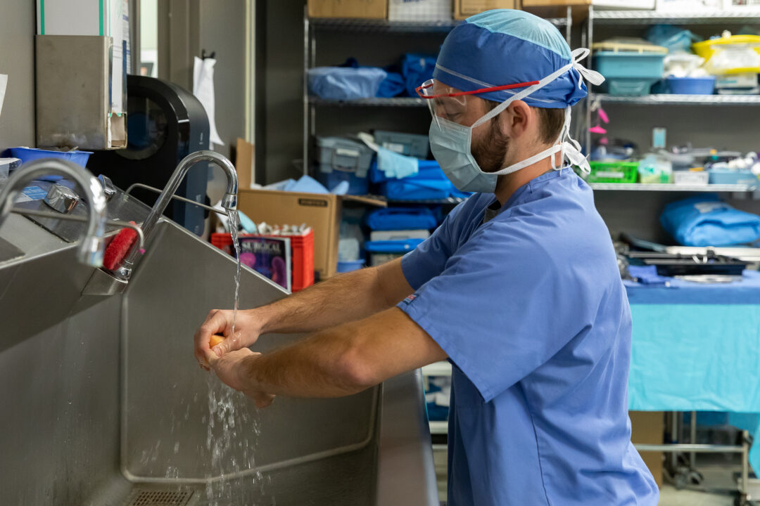 EHOVE Adult Education Occupational & Career Enhancement Programs ...